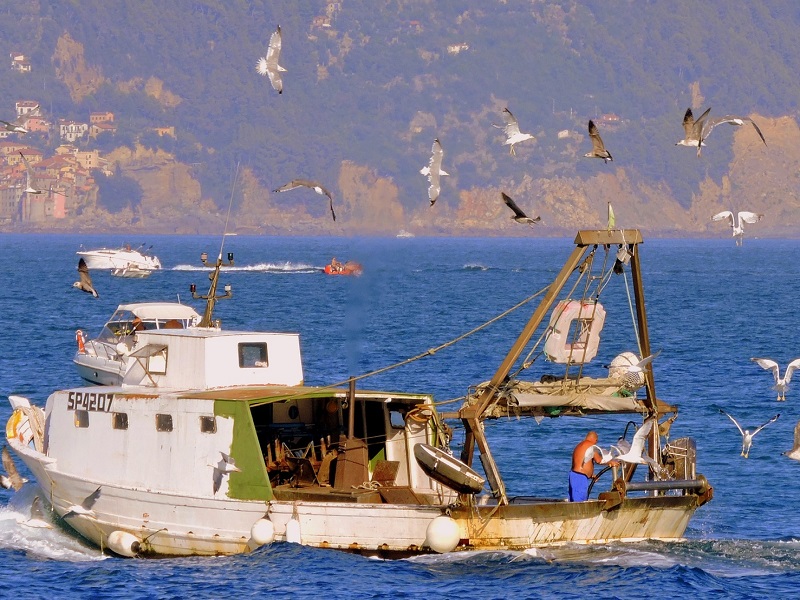 Le nuove regole europee mettono in ginocchio la pesca italiana ...
