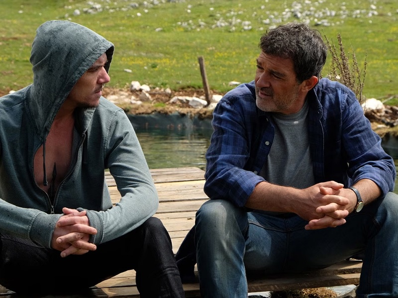 Il thriller "Black Butterfly" su Rai Movie: la trama del film - Corriere Nazionale