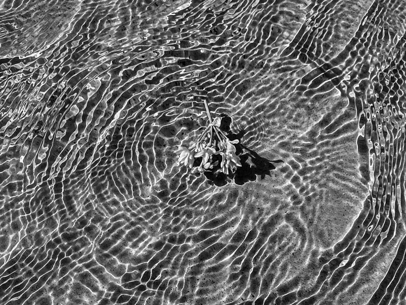 Inaugura "A Single Moment", la mostra di Anna Caterina Masotti ...