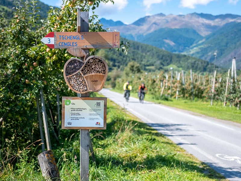 Sulle tracce delle mele con “The Apple Walk” a Prato allo Stelvio ...
