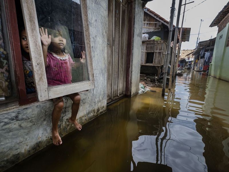 Skira presenta il volume "Environmental Photography Award 2026 ...